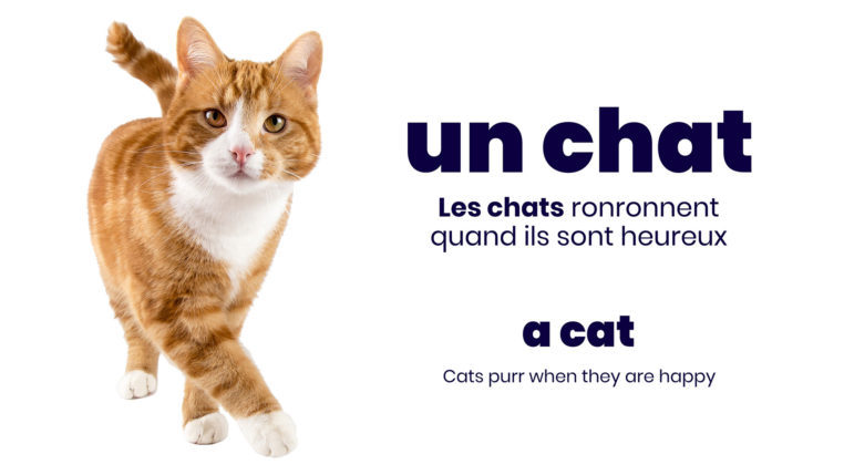 Pets in French – Slides – Multingua