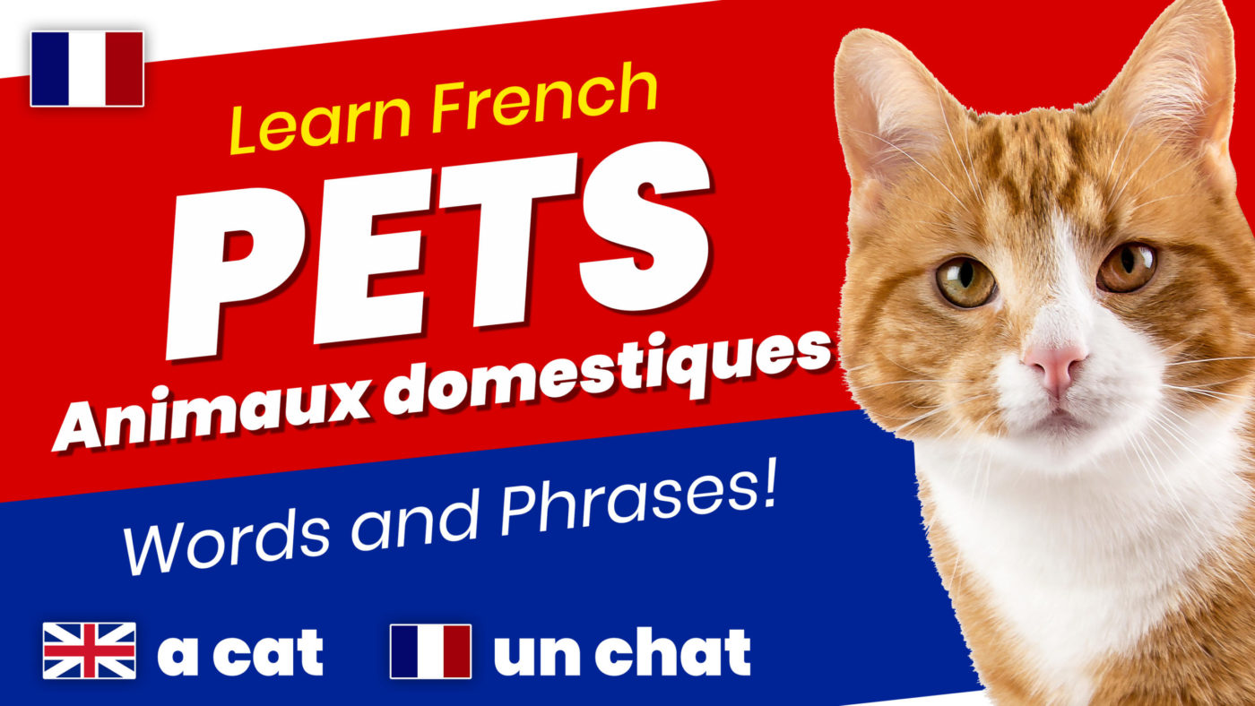 Learn French – Multingua