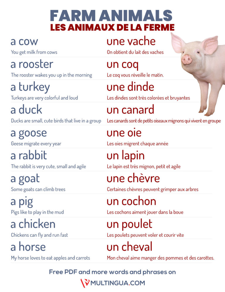 Farm Animals in French – free PDF – Multingua